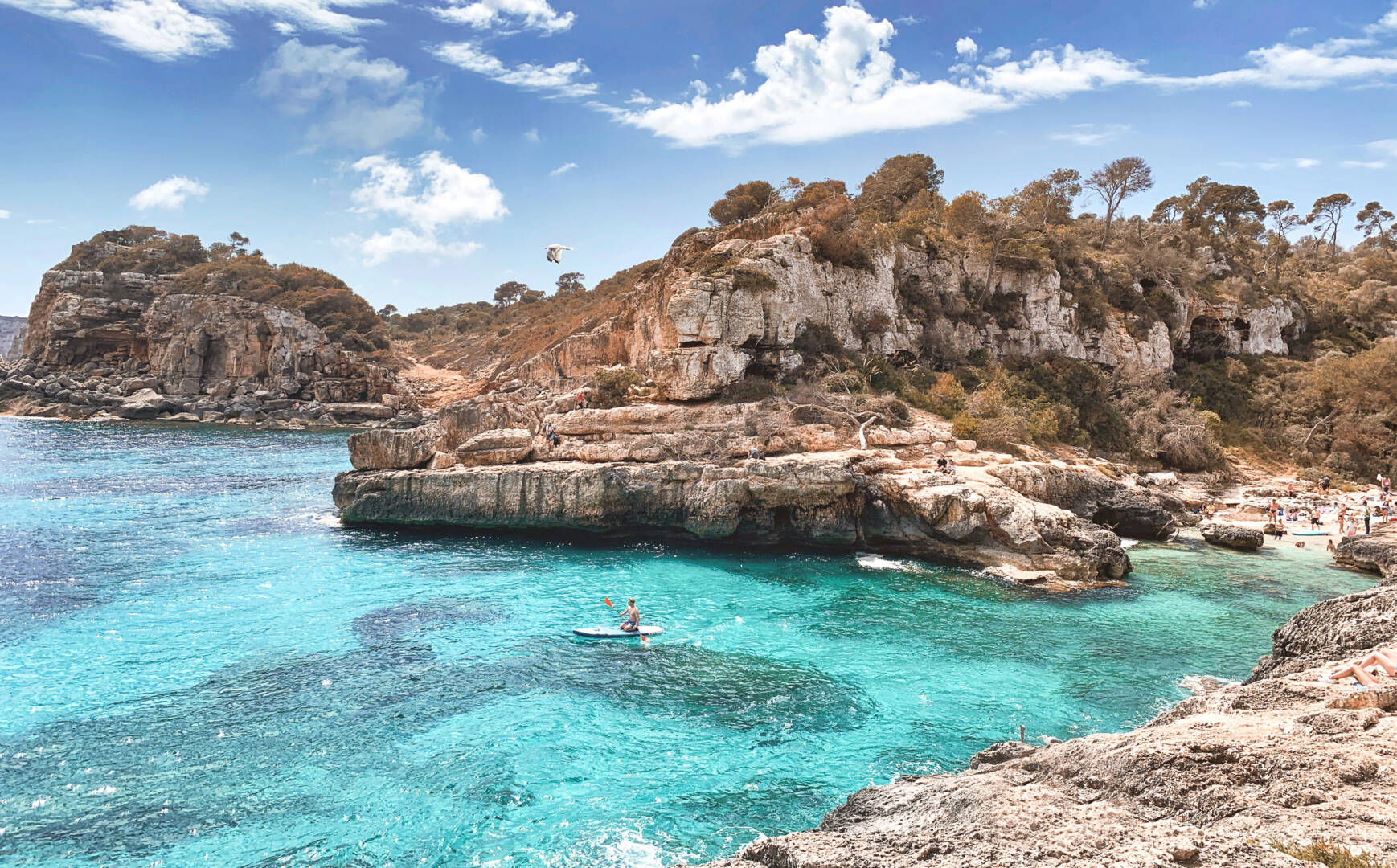 Dónde alojarse en Mallorca - Katt Travel