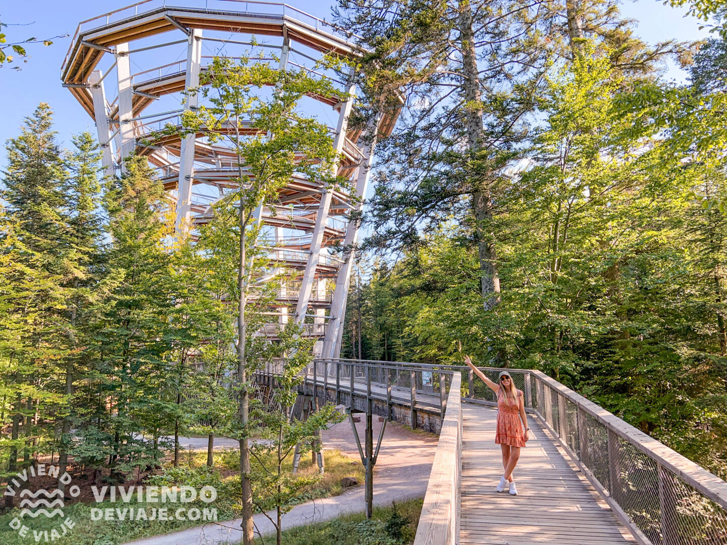 Ruta por la Selva Negra [GUÍA DE VIAJE] | Viviendo de Viaje