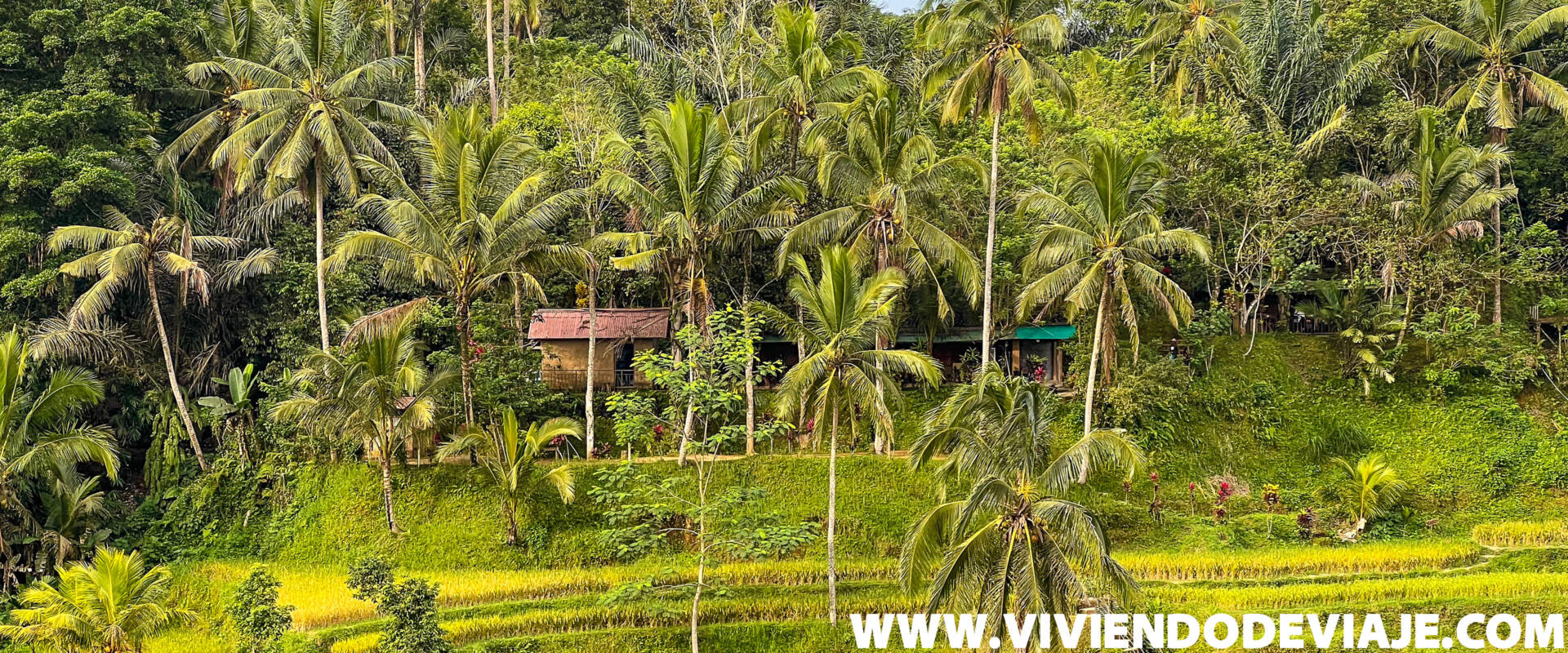 Guía de viaje a Bali por libre | Viviendo de Viaje